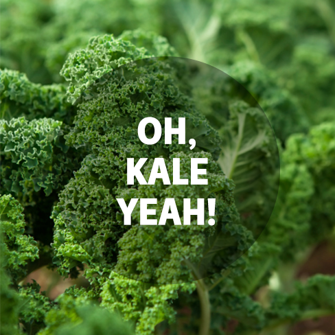 Applause For Kale, The Off The Charts Veggie! | Veggin' Out And About